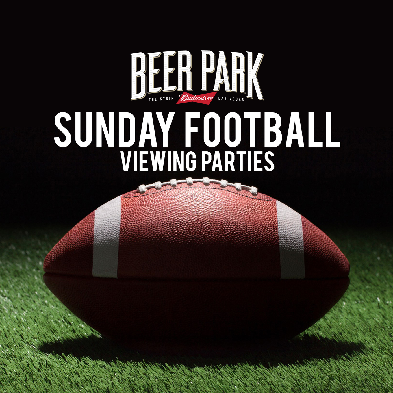 Sunday Football Beer